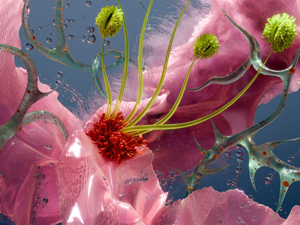 ALANKO+NUOTIO — Fleur De Mer